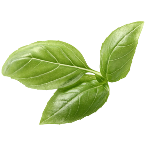 Tienda - Cosmética natural y sostenible MON